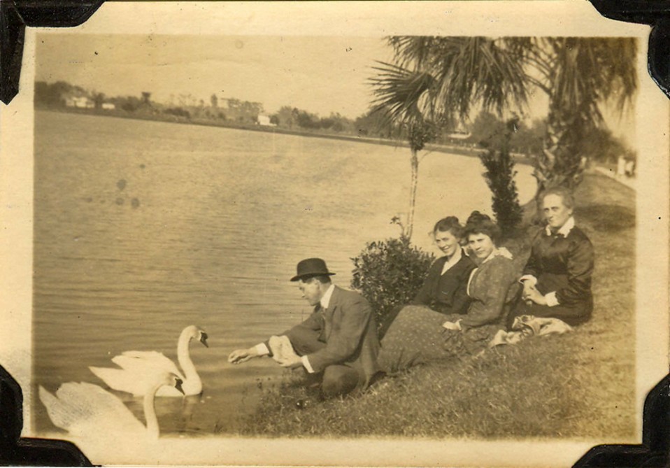 An Orlando Legend: Billy the Swan – Orange County Regional History Center