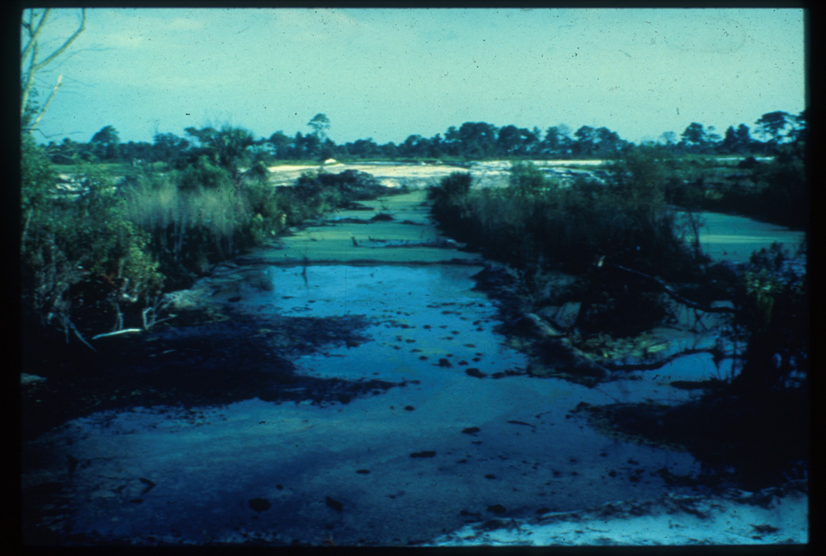 Windover: Prehistoric Past Revealed at Ancient Pond Cemetery – Orange ...