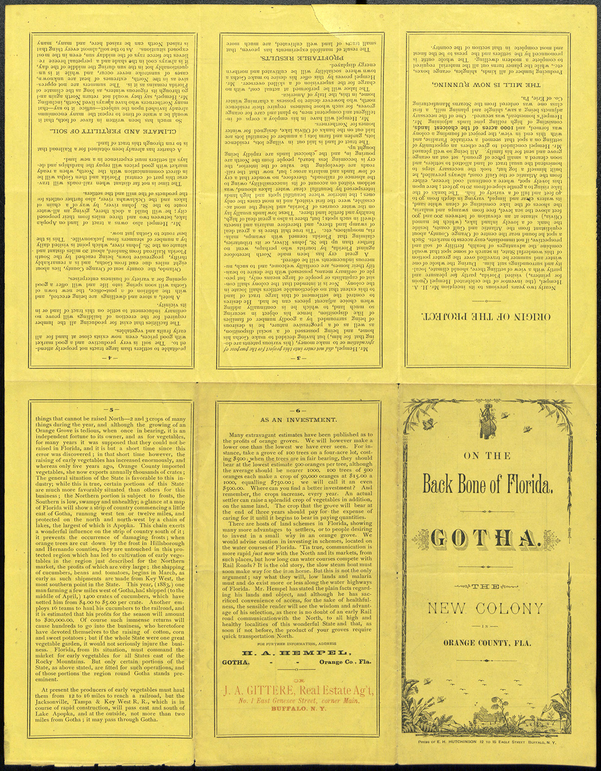 The Koehnes of Gotha: German Heritage and a Literary Link – Orange ...