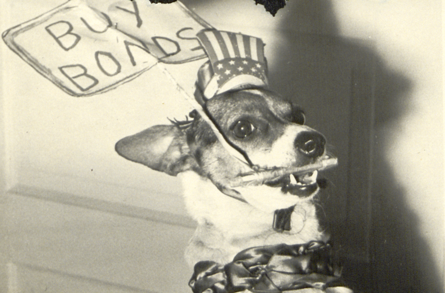 During Dark War Times, a Pooch Named Pinkey Brought Sunshine to Orlando ...