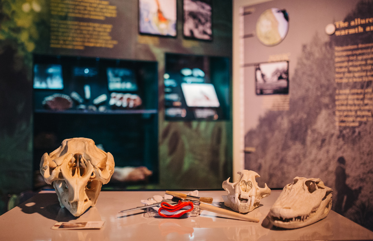 Lunch & Learn: Artifacts & Stories of Central Florida – - May 2, 2025Orange County Regional ...